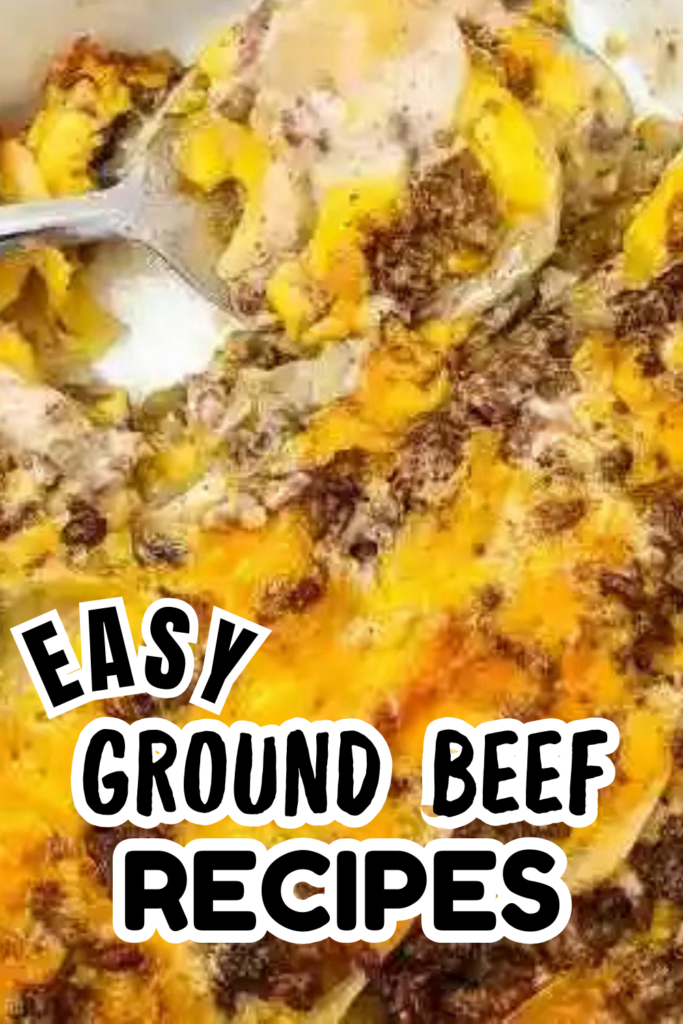 The Best Ground Beef Recipes for Busy Weeknights – On Budget Moms