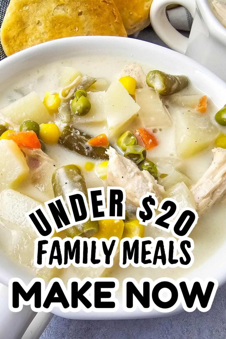 20 Family Meals You Can Make for Under $20 – On Budget Moms
